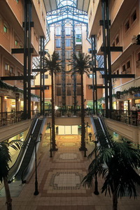 Haifa Municipality - Aliya Web Site - Print Version